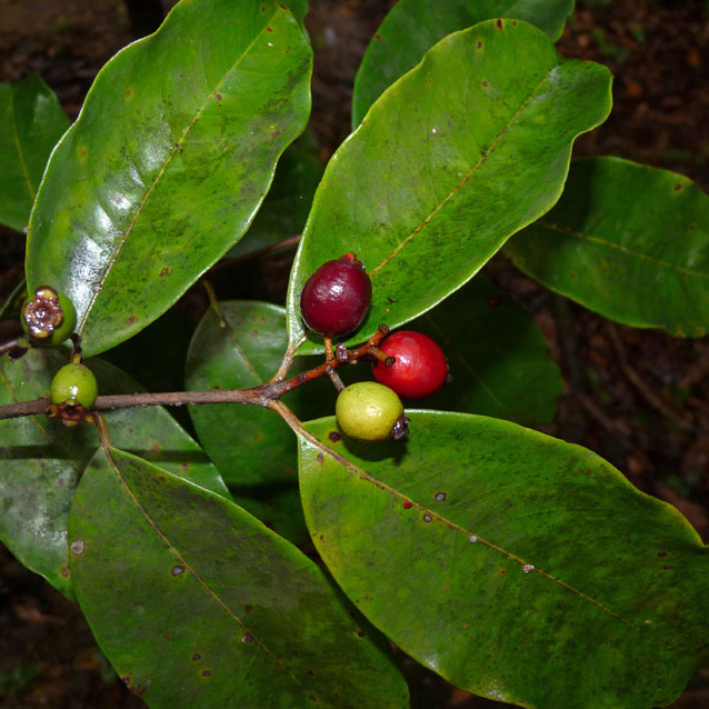 Reinforce Site With Vegetation | Keep Safe