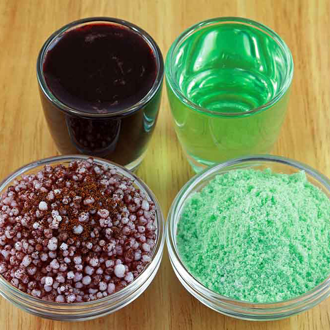 Plant An Edible Garden | Keep Safe