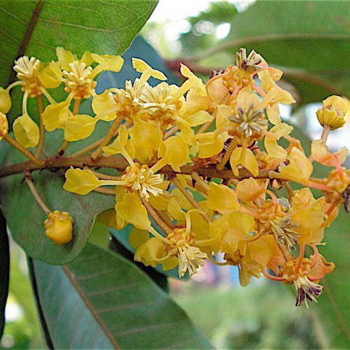 Refuerce Su Entorno Con Vegetación | Keep Safe